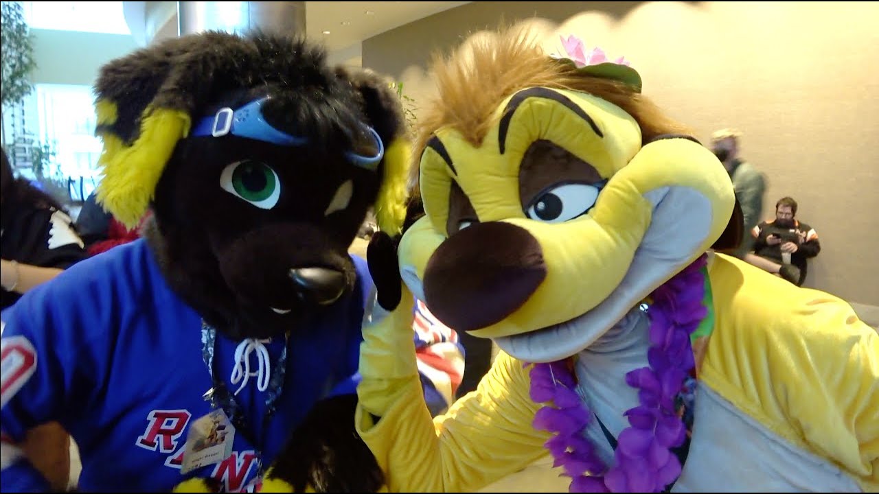 Anthro New England 2024 - Timon The Lion King Fursuit Cosplay - YouTube