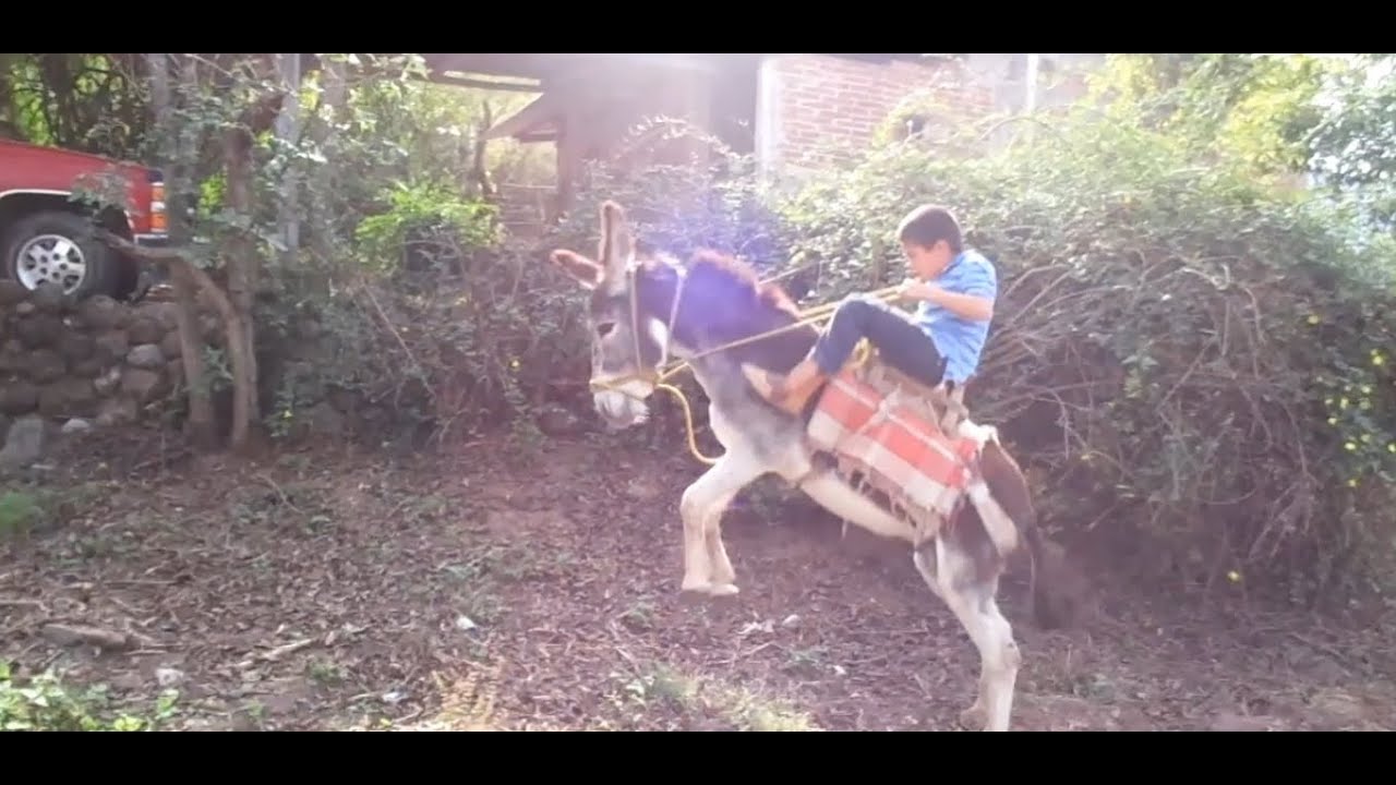 La Monta Especial con Musica - YouTube