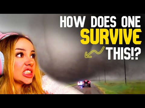 Finnish Girl Reacts To Craziest Nature Videos Of The Decade Youtube
