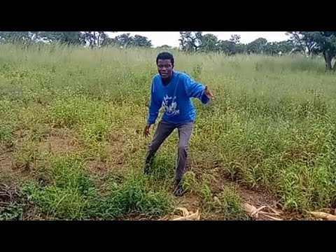 FOTOS CHANG PUUNI - YouTube