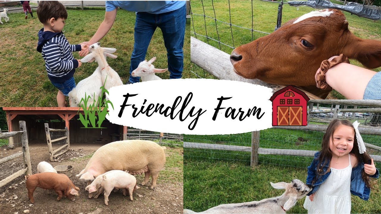FRIENDLY FARM 2021 | DUBLIN, NEW HAMPSHIRE | FAMILY VLOG | THINGS TO DO ...