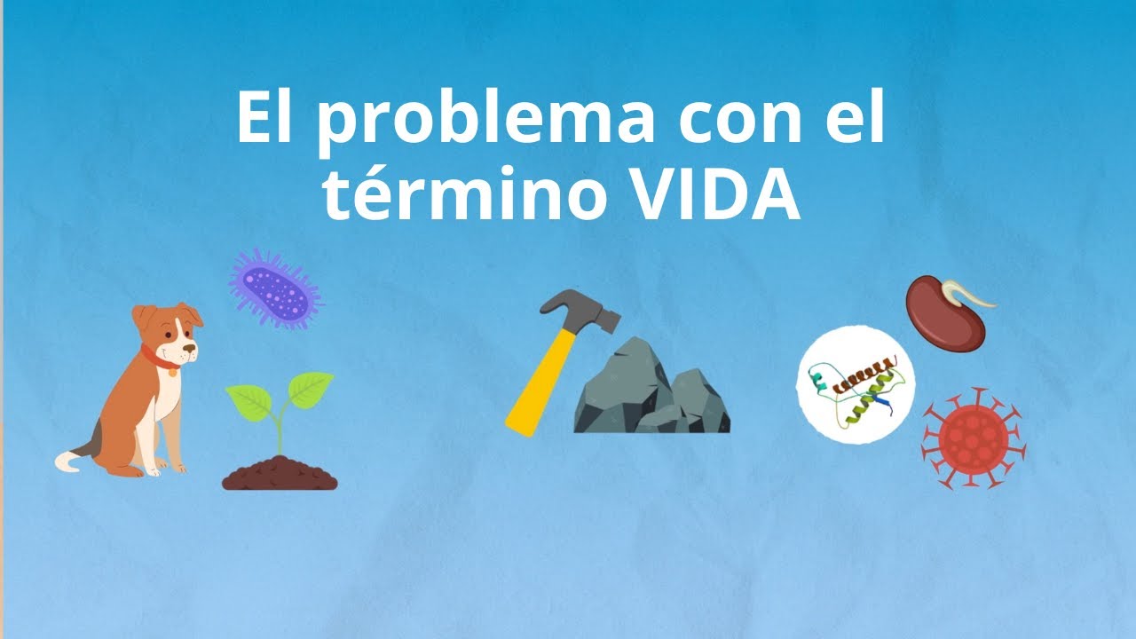 ¿Cómo se define la vida? - YouTube