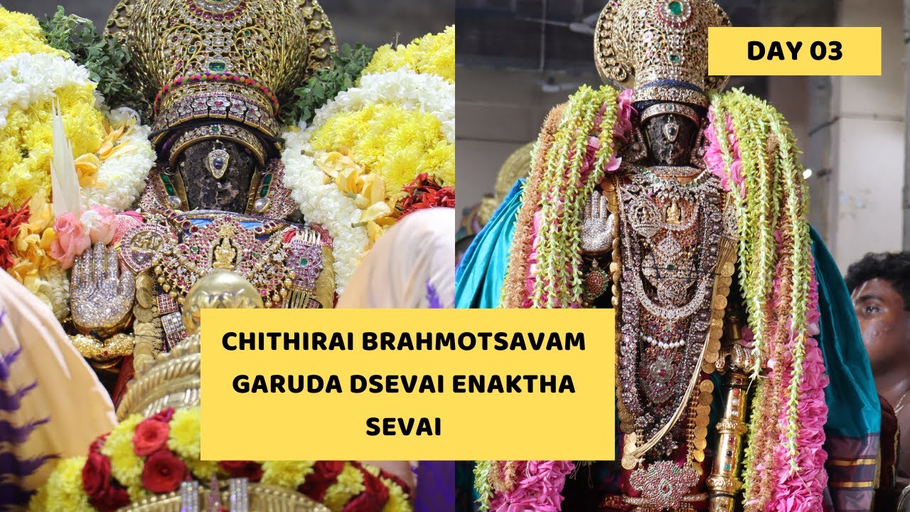 Garuda Sevai | Ekantha Sevai | yesal | Thiruvallikeni Sri Parthasarathy ...