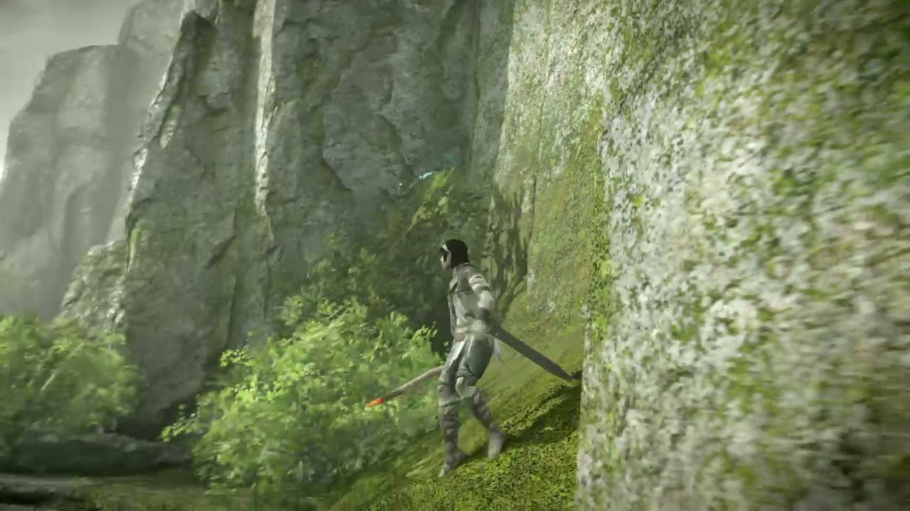 SHADOW OF THE COLOSSUS: TAKING OUT SHINY TAILED LIZARD WITH THE STICK ...
