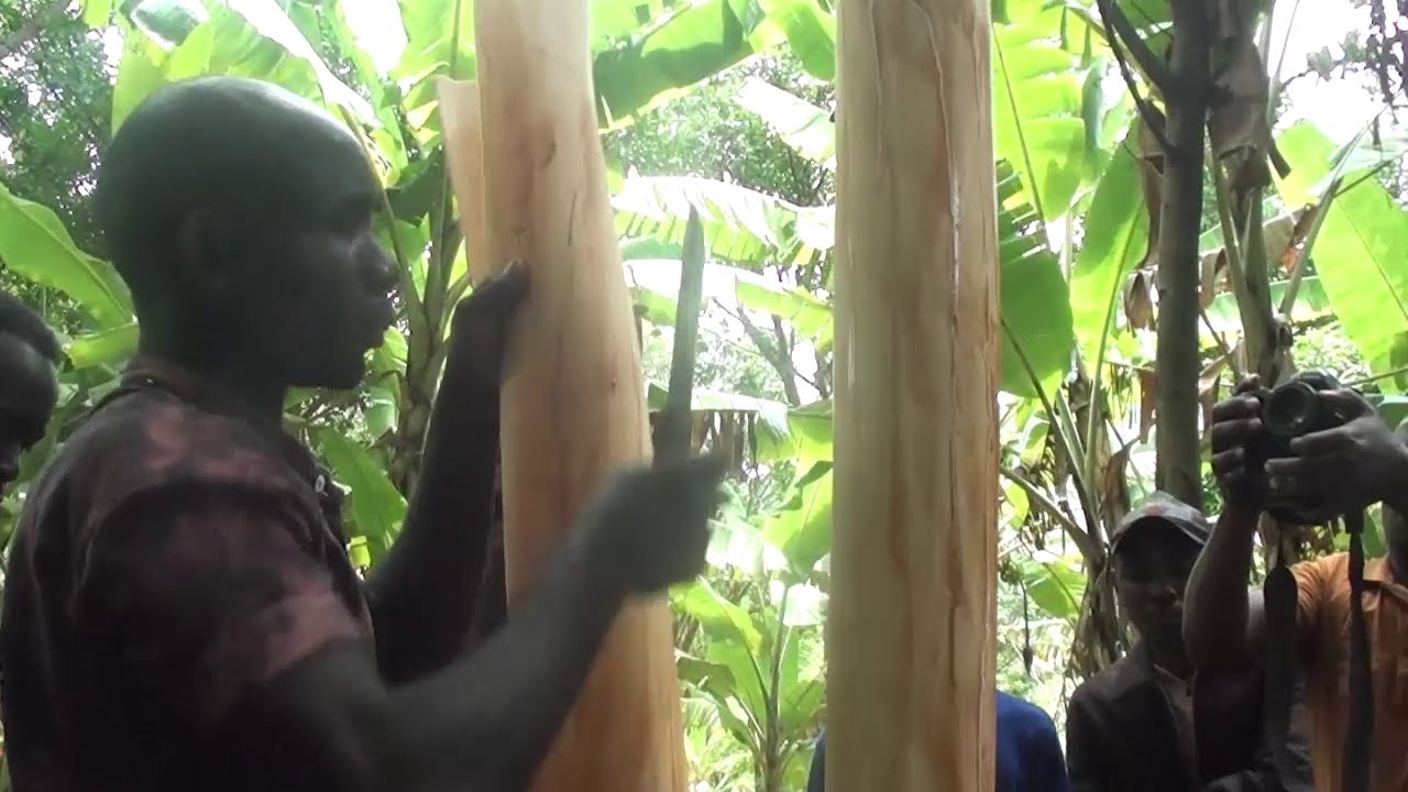 OBUKULU BW'OMUTI GW'OMUTUBA - YouTube
