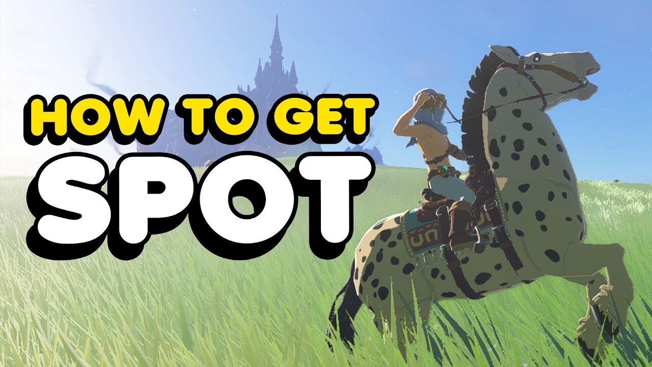 How To Get SPOT In Zelda Tears of The Kingdom (Spotting Spot Side Quest ...