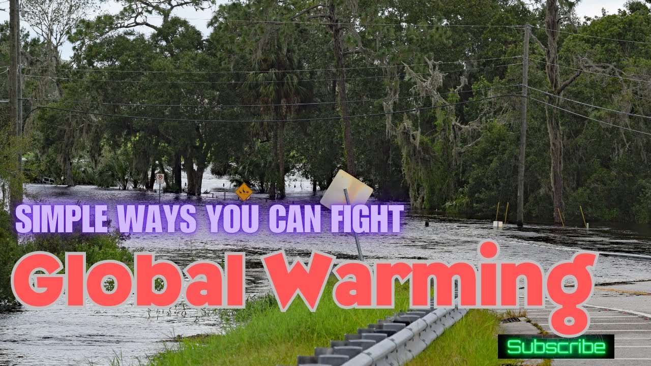 5 Simple Ways YOU Can Fight Global Warming 2024 - YouTube