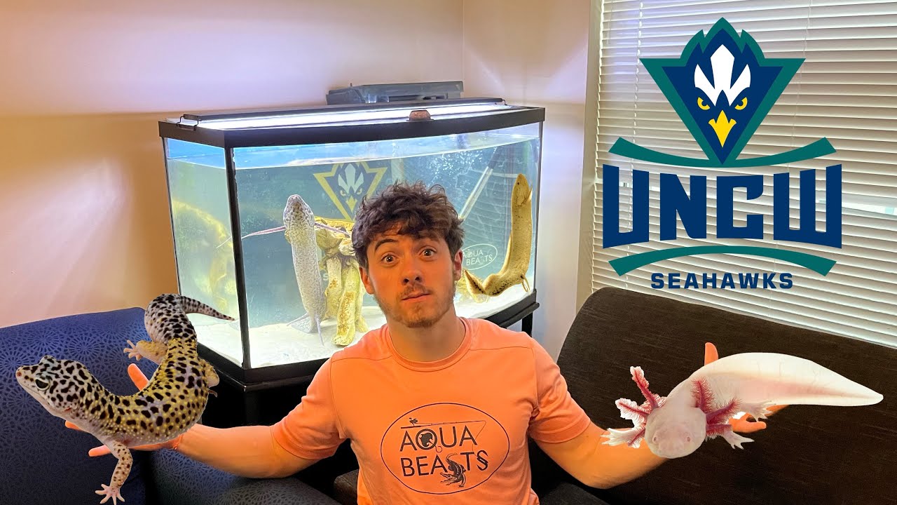 Touring my pets in College Dorm! (UNCW) - YouTube