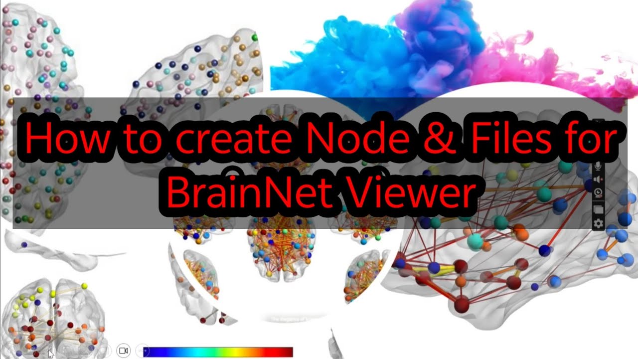 Functional Connectivity Visualization ｜Node & Extension Files for ...