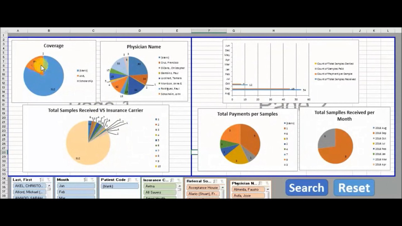 Dynamic Dashboard with VBA code to filter it - YouTube