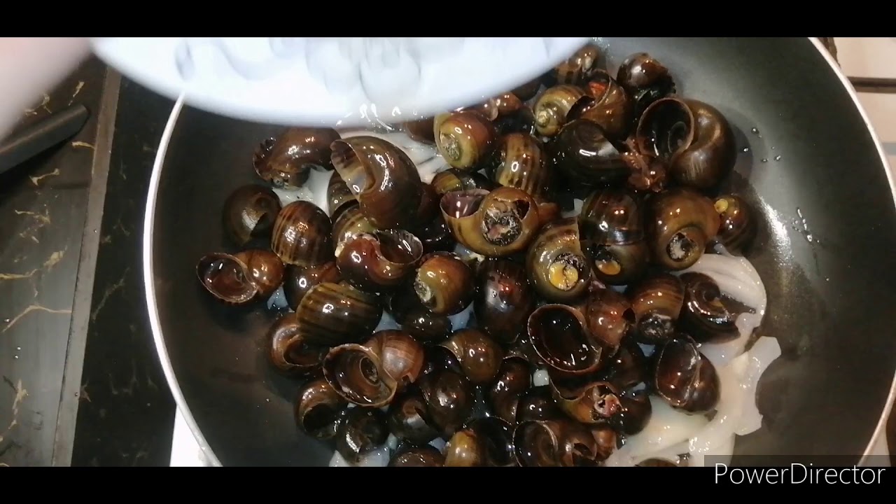 Ginataang suso | gatang suso | lutong kapampangan | qiuck and easy ...