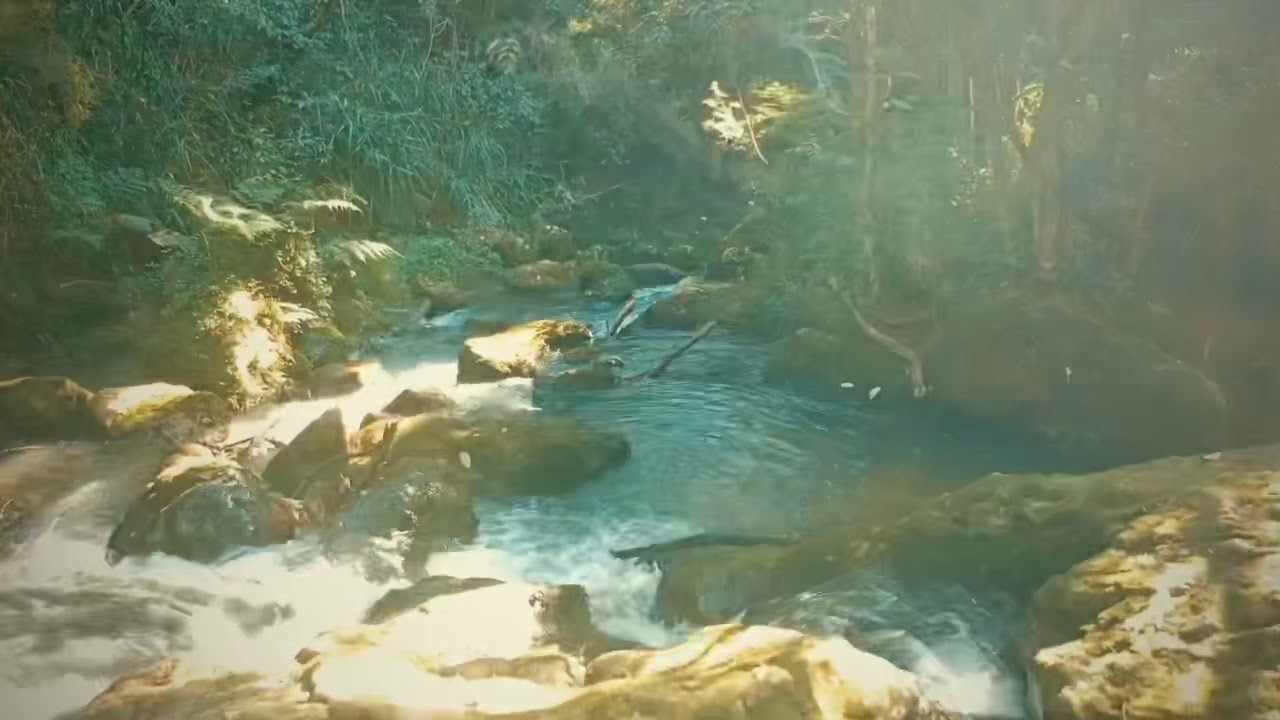 cinematography video waterfall - YouTube