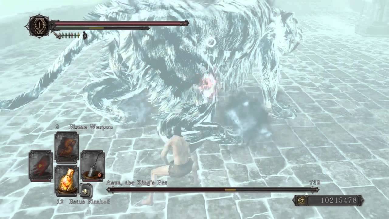 [Dark Souls II] How To Beat Aava, the King's Pet - YouTube