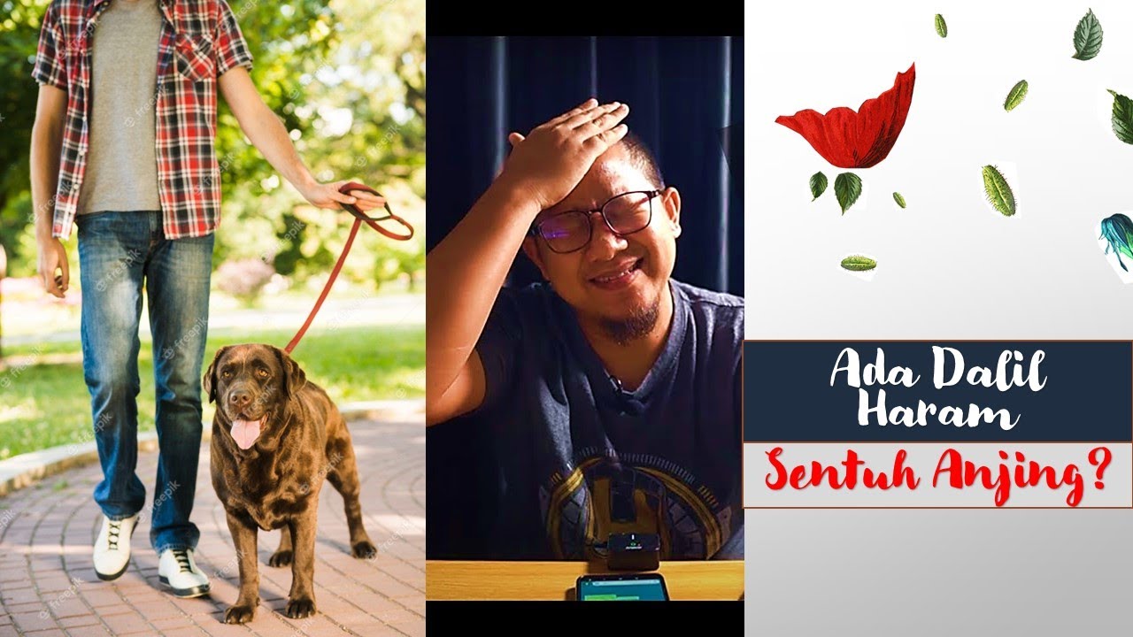 Ada Dalil Tentang Haram Sentuh Anjing? - YouTube
