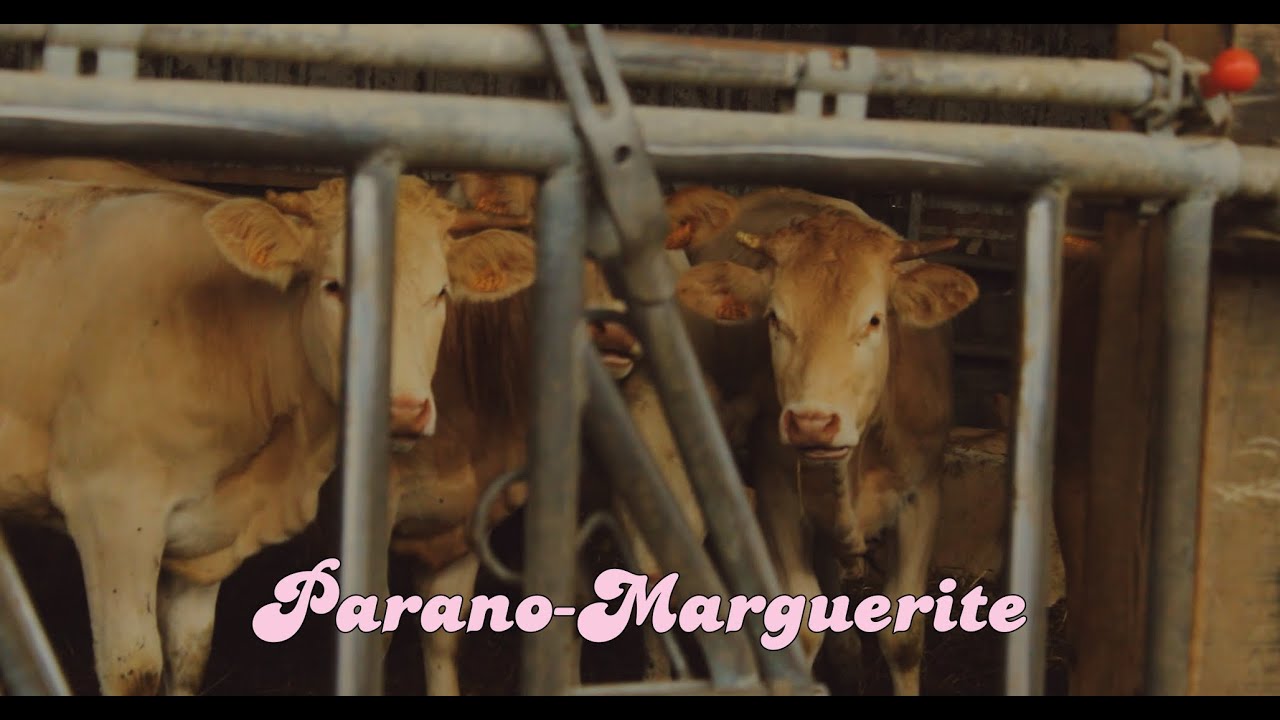 Parano-Marguerite | 48 Hour Film Project - Tours 2024 - YouTube