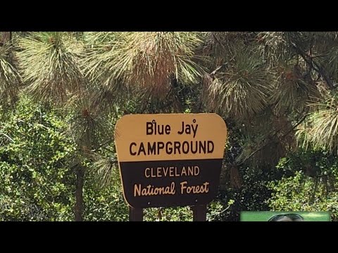 Blue Jay Campground Cleveland National Forest, CA. - YouTube