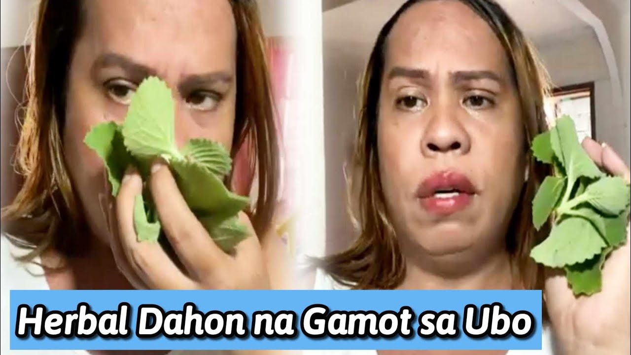 Herbal dahon na gamot sa ubo ay ito pala ang secreto pampalasa ng ...
