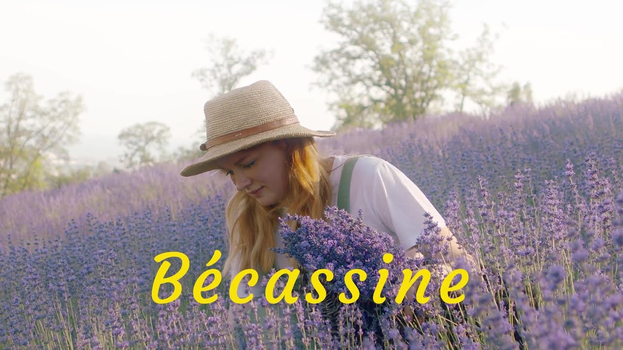 Bécassine ‐ Vidéo Youtube