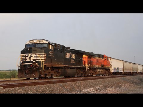 “NS 4237”. Leads H DYTGAL1 14A With a awesome K5LA - YouTube