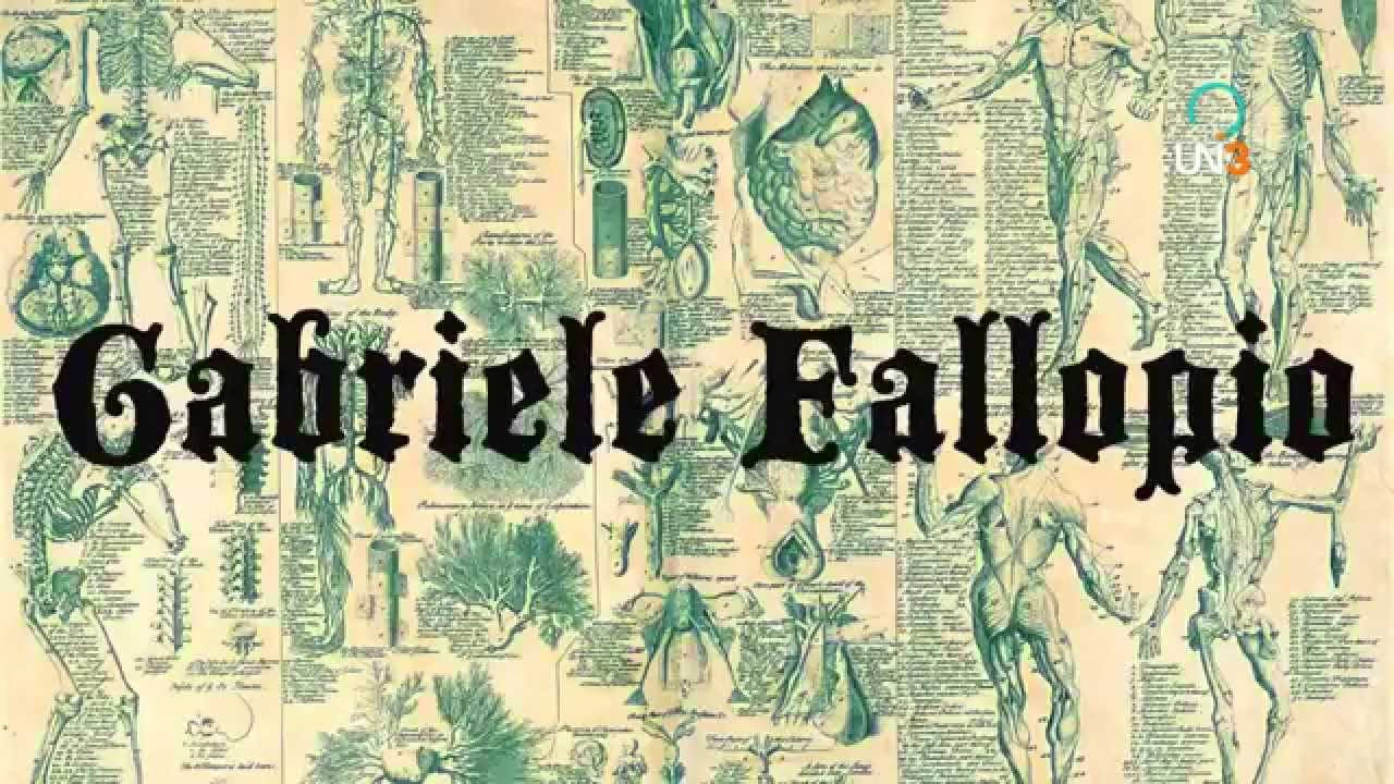 UNCICLIOPEDIA GABRIEL FALOPIO - YouTube