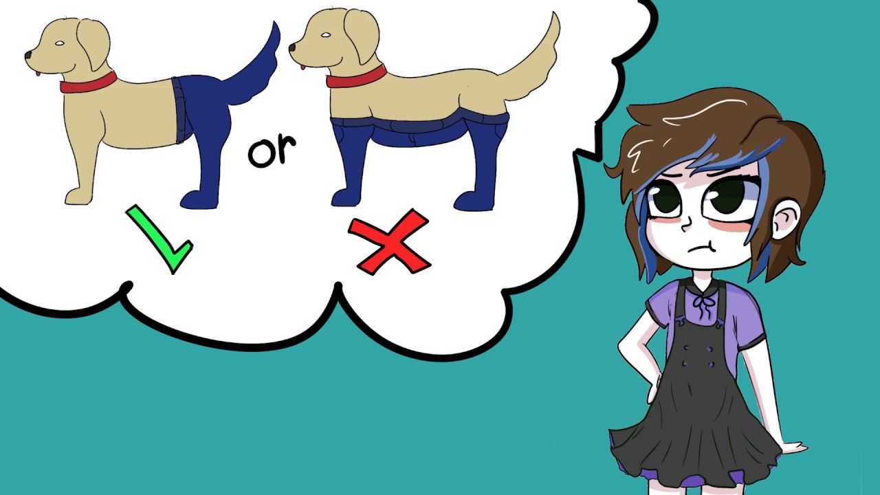 Welcome To Beebo Illustrations! - YouTube