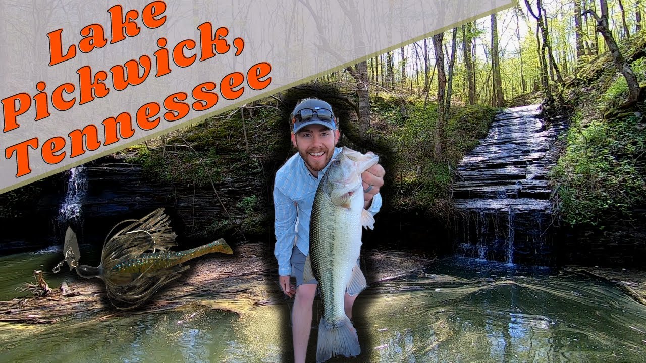 Pickwick Lake April 2021: Largemouth Bash - YouTube