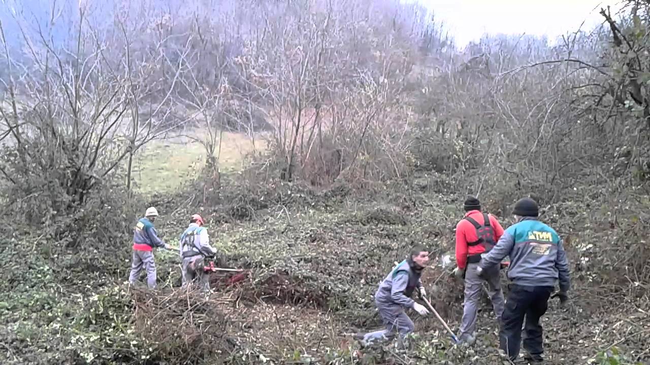 TIMmax - Krčenje zaraslog imanja - Trudelj, Gornji Milanovac novembar ...