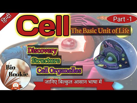 Human Cell In Hindi | Cell Discovery | Cell Structure | Functions ...