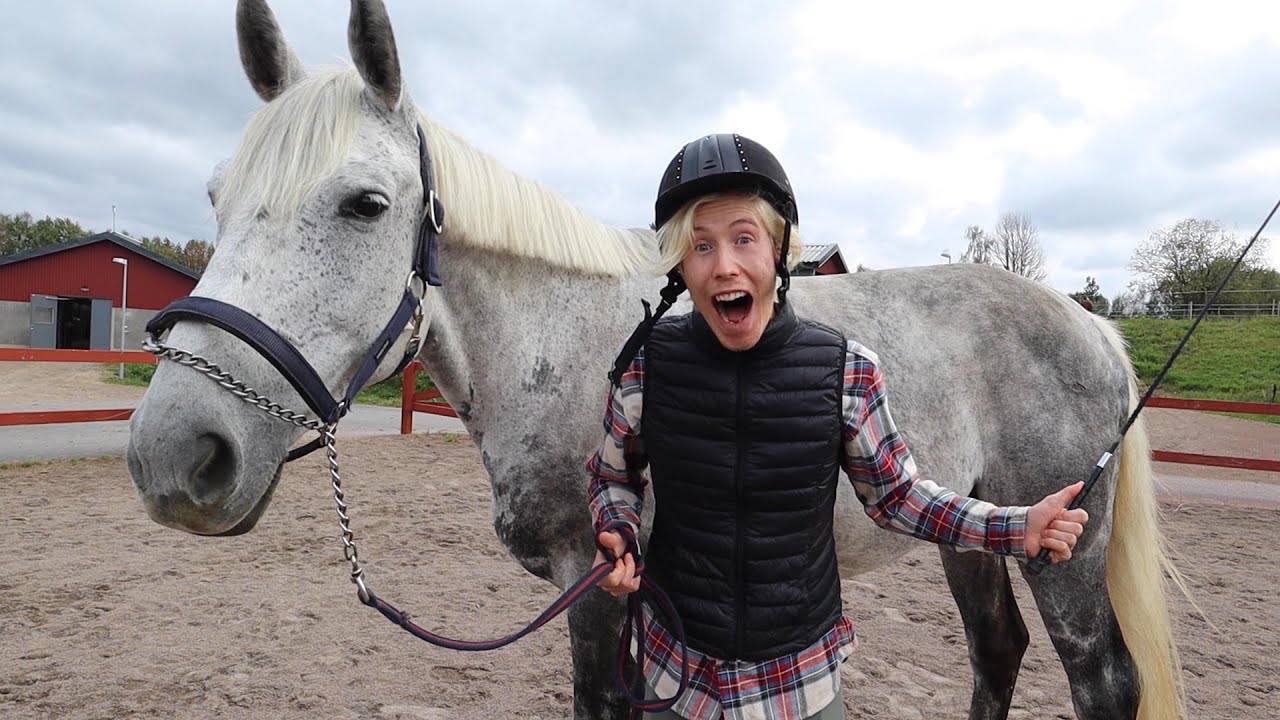 JOBBAR I STALLET FÖR EN DAG - YouTube