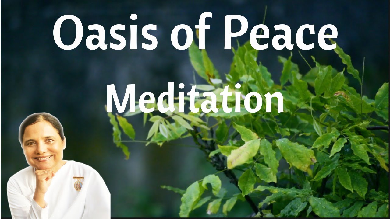16. Oasis of Peace - YouTube