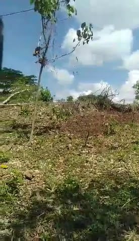 Sa paligid ng taniman ng gulay#everyone #highlights # ...