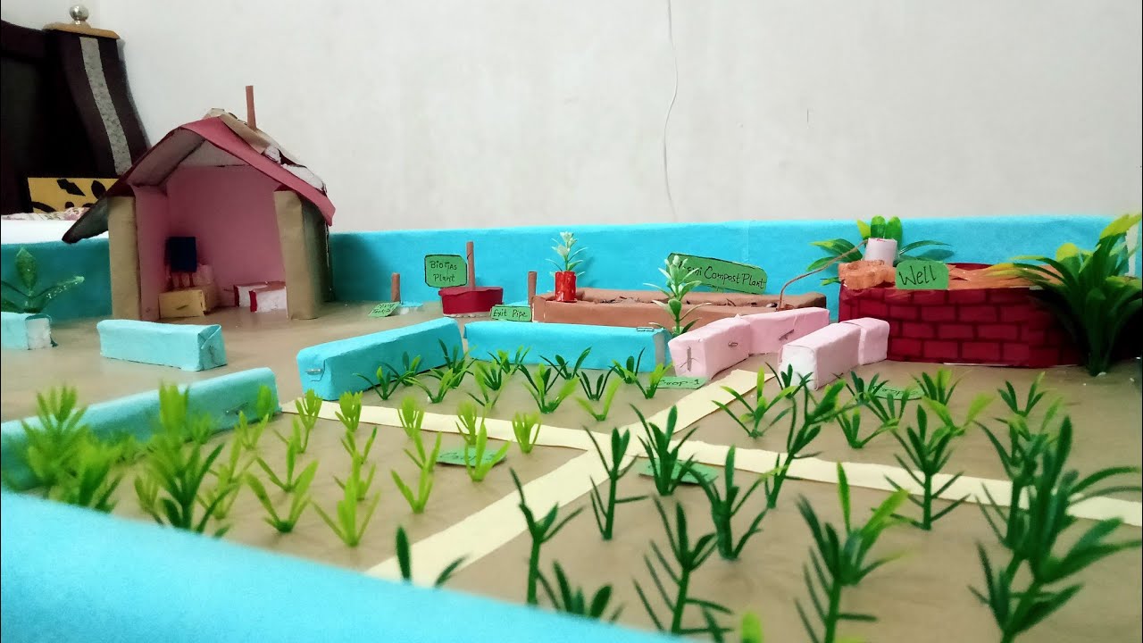 science project Natural Farming - YouTube