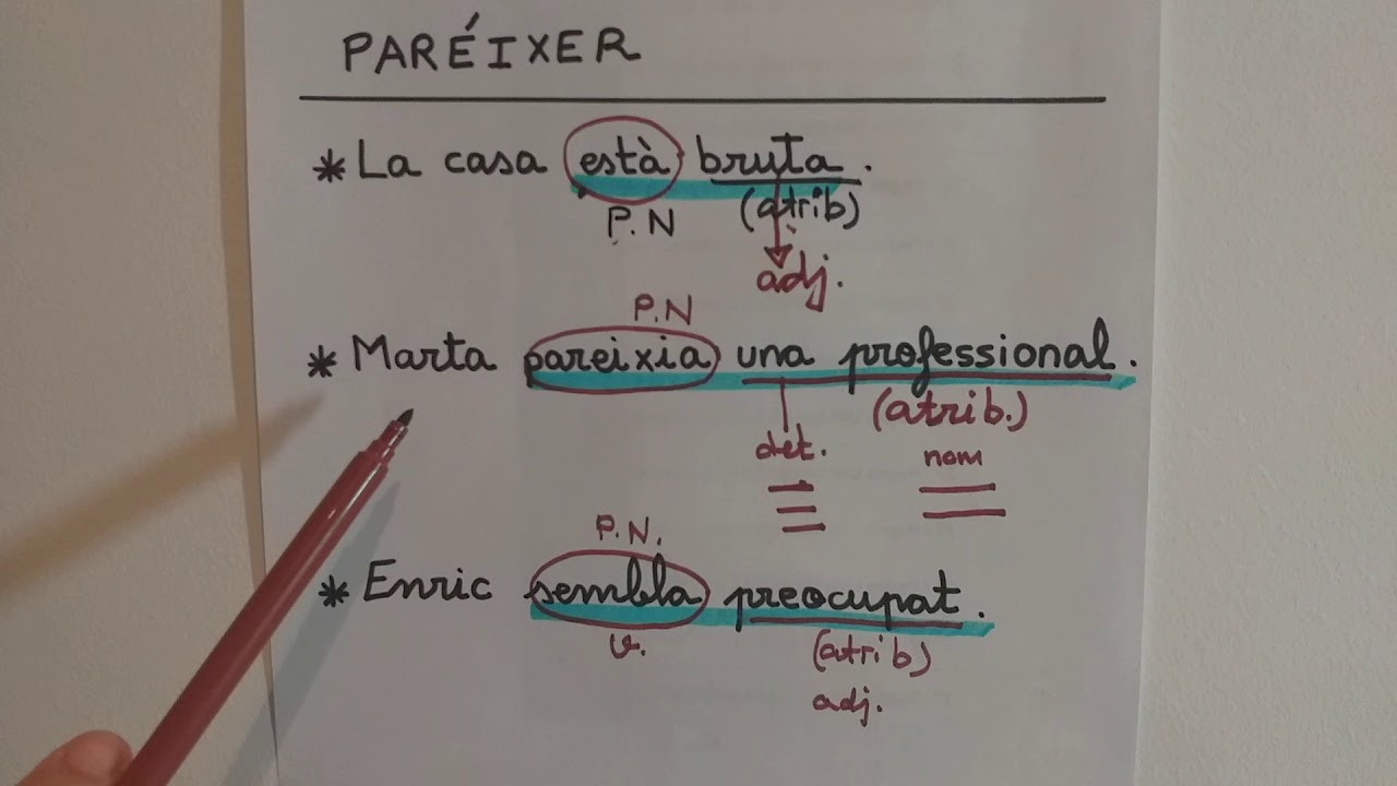 EL PREDICAT NOMINAL - YouTube