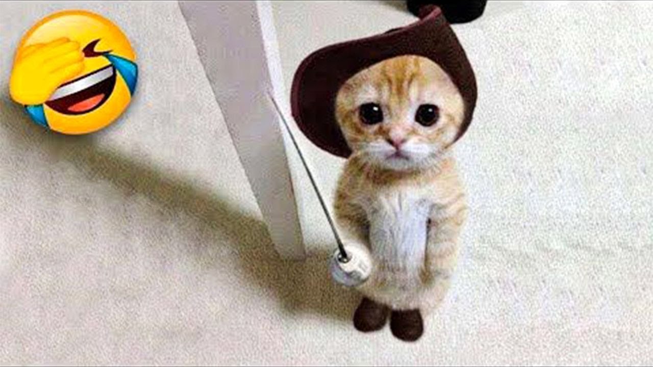 Unleash the Laughter: Funny Dog and Cat Moments You Can't Miss - YouTube