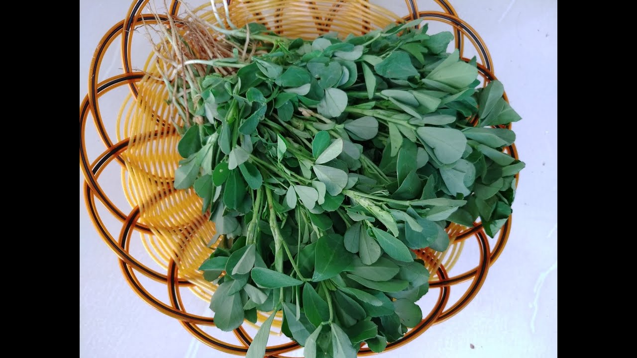 Methi Chi Bhaji / Methi ki Sabzi / Fenugreek Leaves Sabzi - YouTube