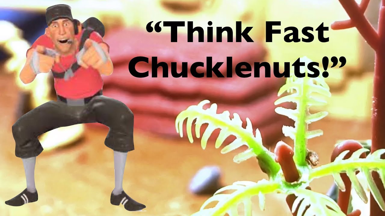Footage For Upcoming Film - “THINK FAST CHUCKLENUTS!” #stopmotion # ...