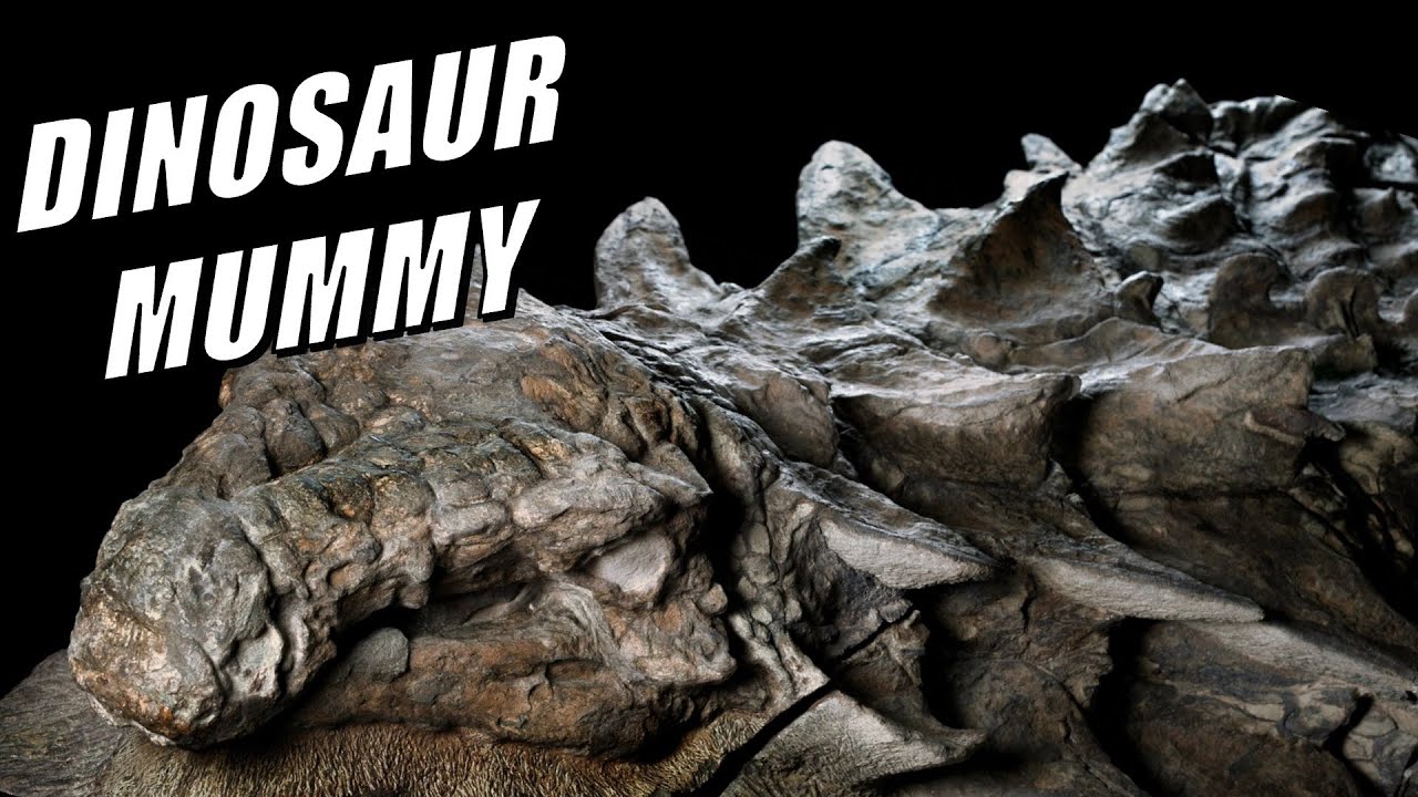 The world’s most perfectly mummified dinosaur, Borealopelta - YouTube