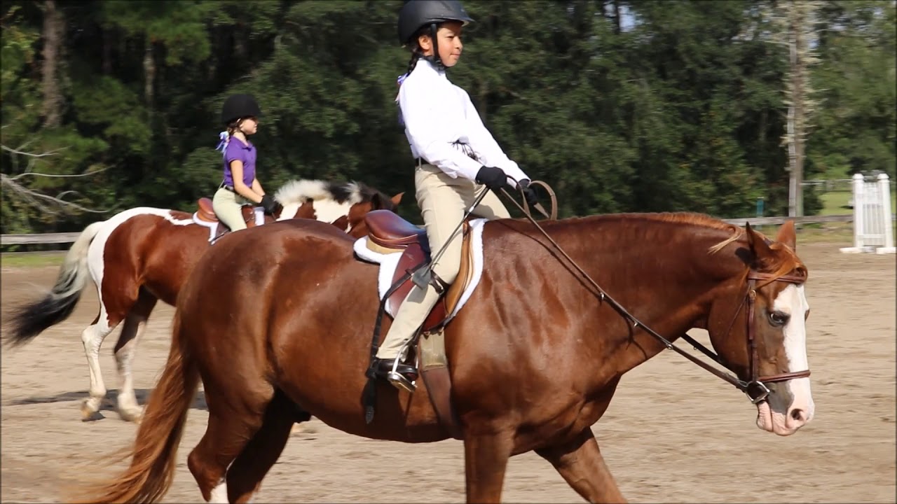 First Horse Riding Show, Highlights - Leo Equestrian - YouTube