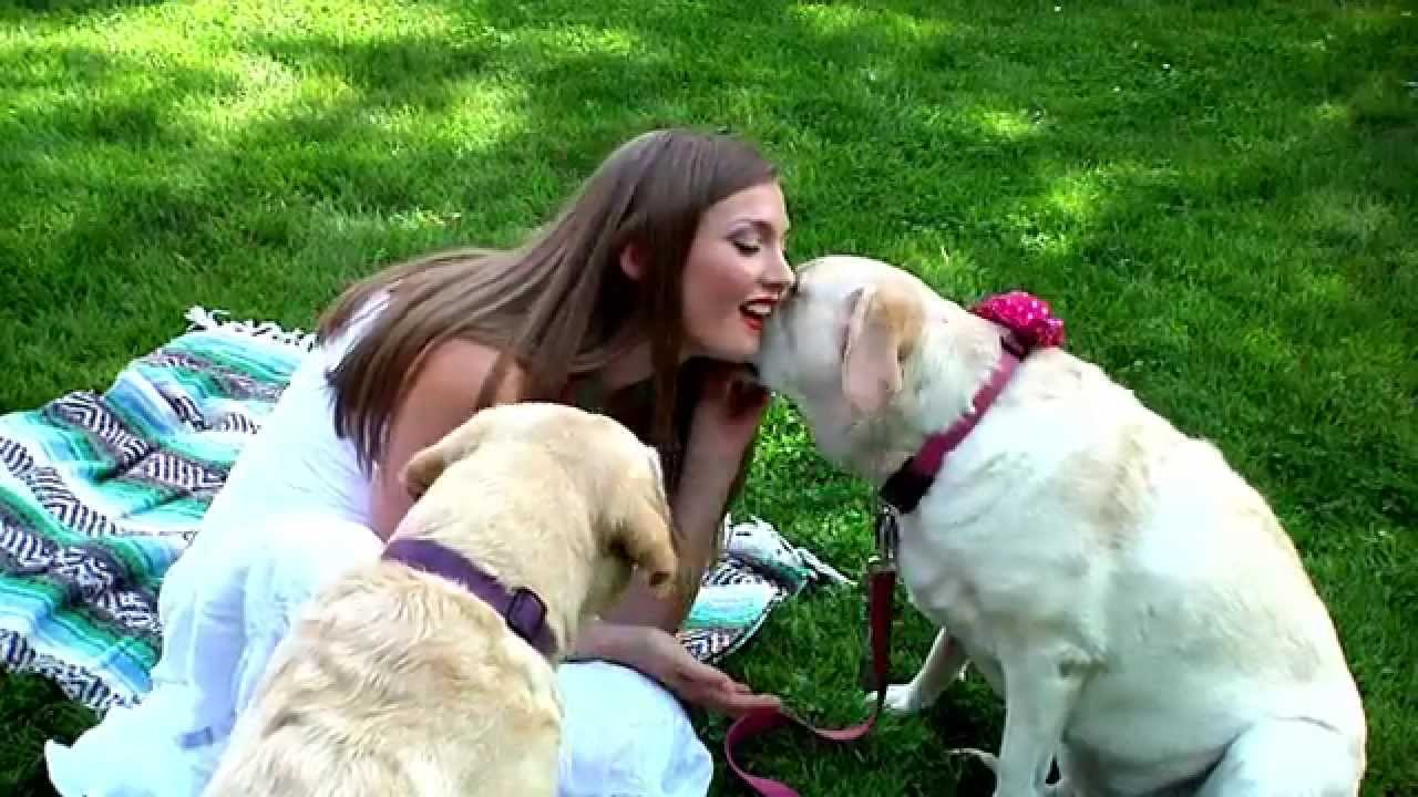 [PSA] Animal Abuse - YouTube