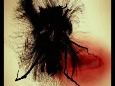 The Grudge 3 New Official Trailer 2