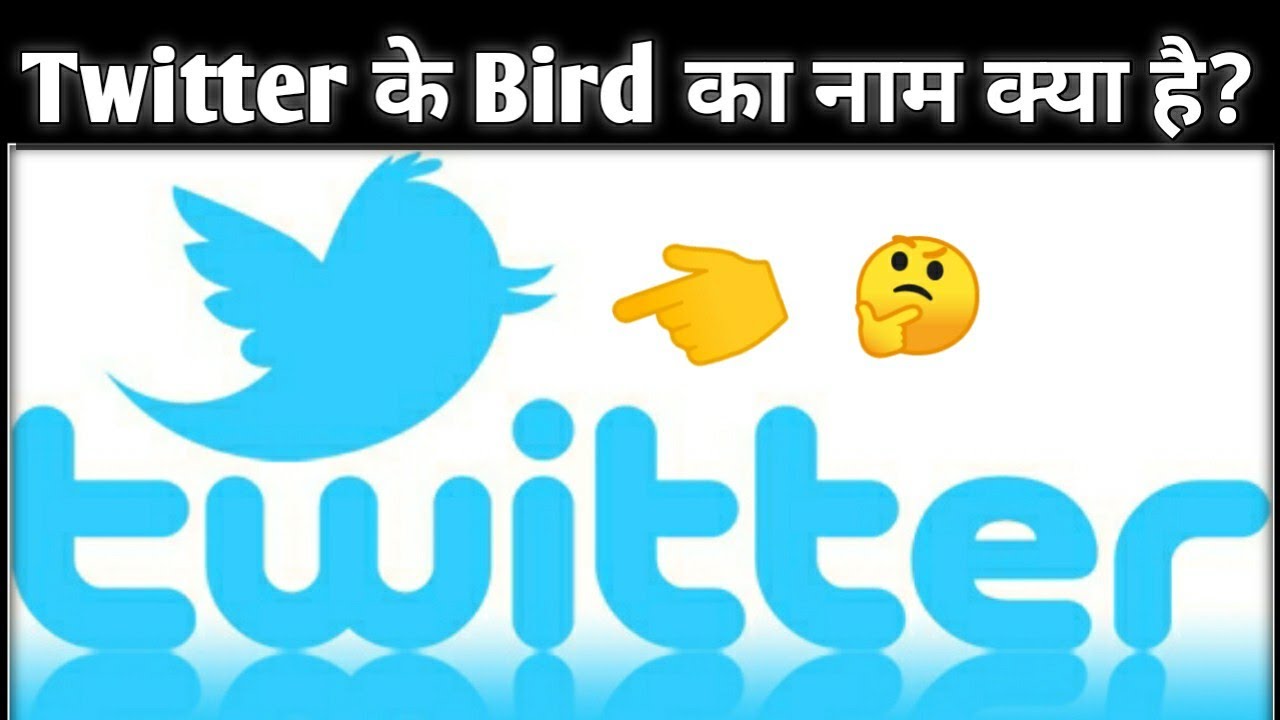 Twitter के Bird का नाम क्या है ? || What is the name of Twitter Bird ...