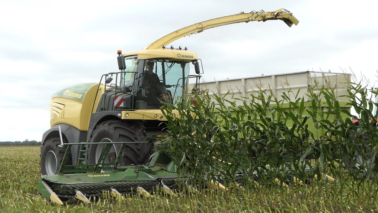 Krone Big X 630 in the field chopping corn | Corn Season 2020 ...