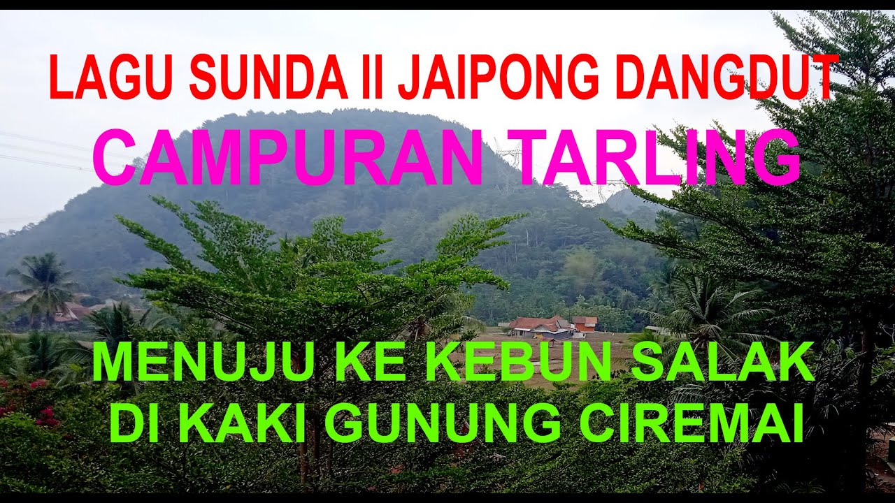 LAGU SUNDA ll JAIPONG DANGDUT CAMPURAN TARLING MENUJU KE KEBUN SALAK DI ...