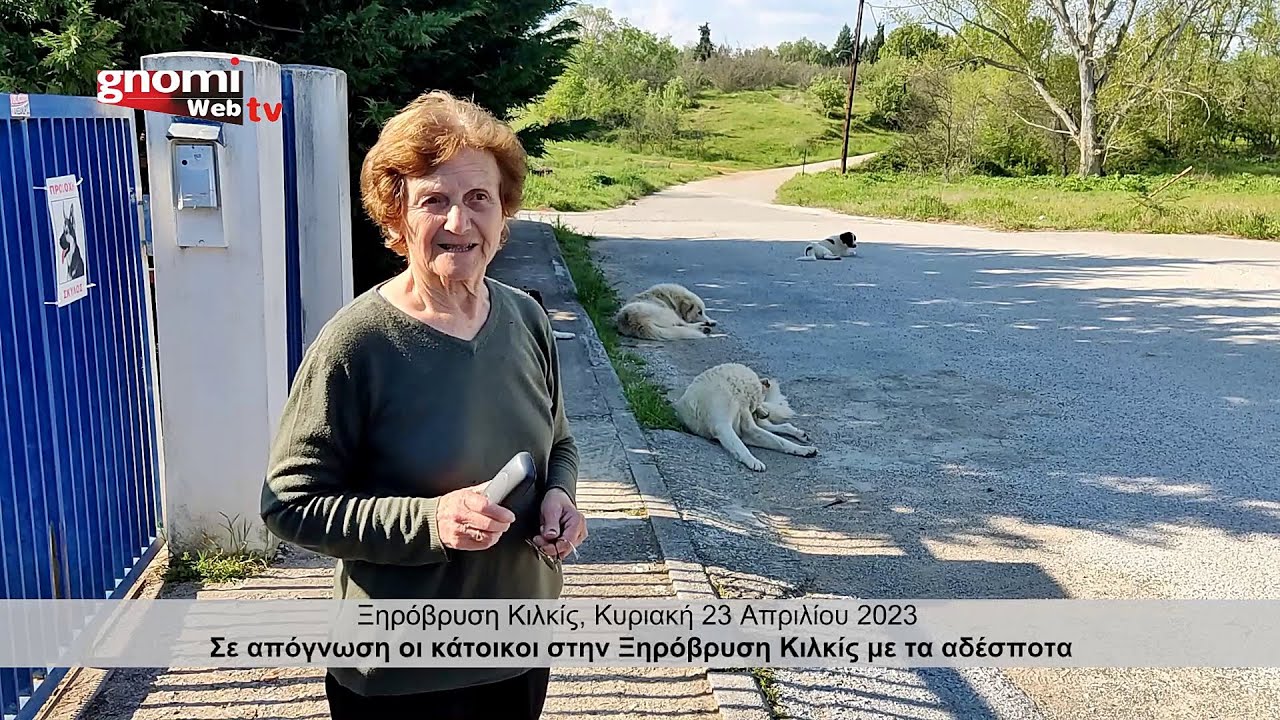 Σε απόγνωση οι κάτοικοι στην Ξηρόβρυση Κιλκίς με τα αδέσποτα - YouTube