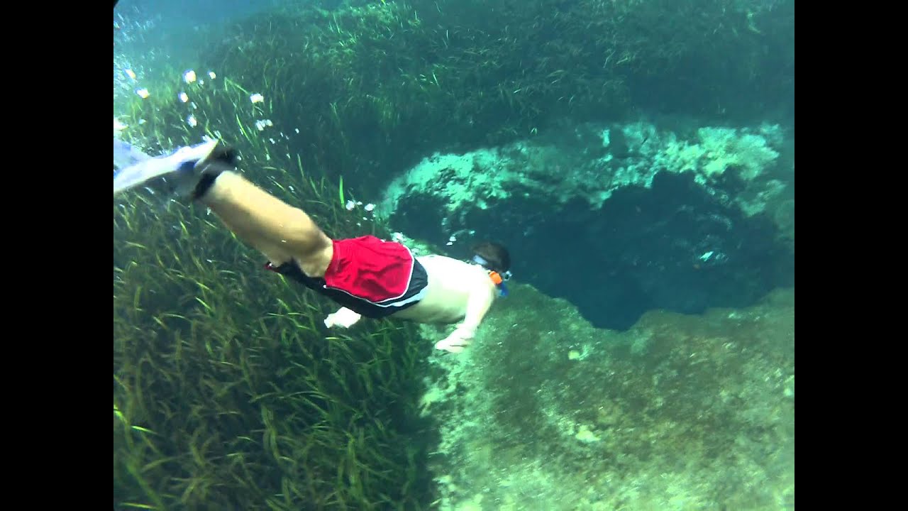 Blue Hole Spring Florida