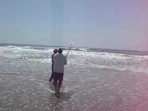 Rob's Bluefish at OBX - YouTube