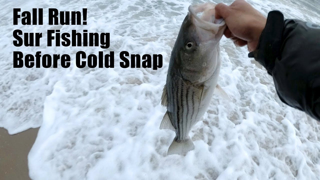 Fall Run! Striper Surf Fishing Before Cold Snap. - 4K - YouTube