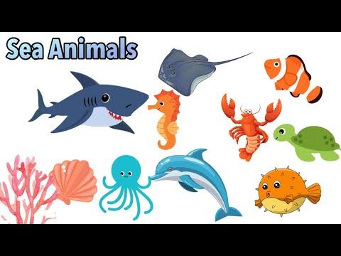 Learn about Sea Animals | Sea Creatures |Fun learning video for kids ...