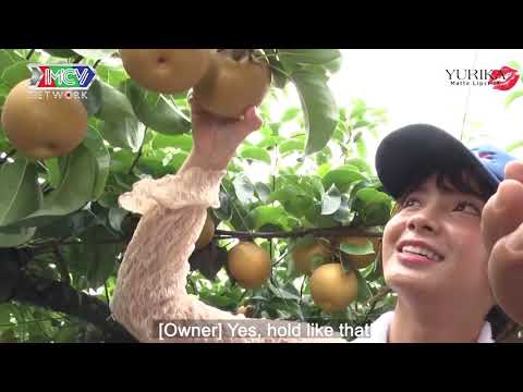 T-Up và Jang Mi hẹn hò tại Nhật Bản lần đầu thưởng thức chả cá Sasahamaboho 200K 1 MIẾNG 😱 | DLKT