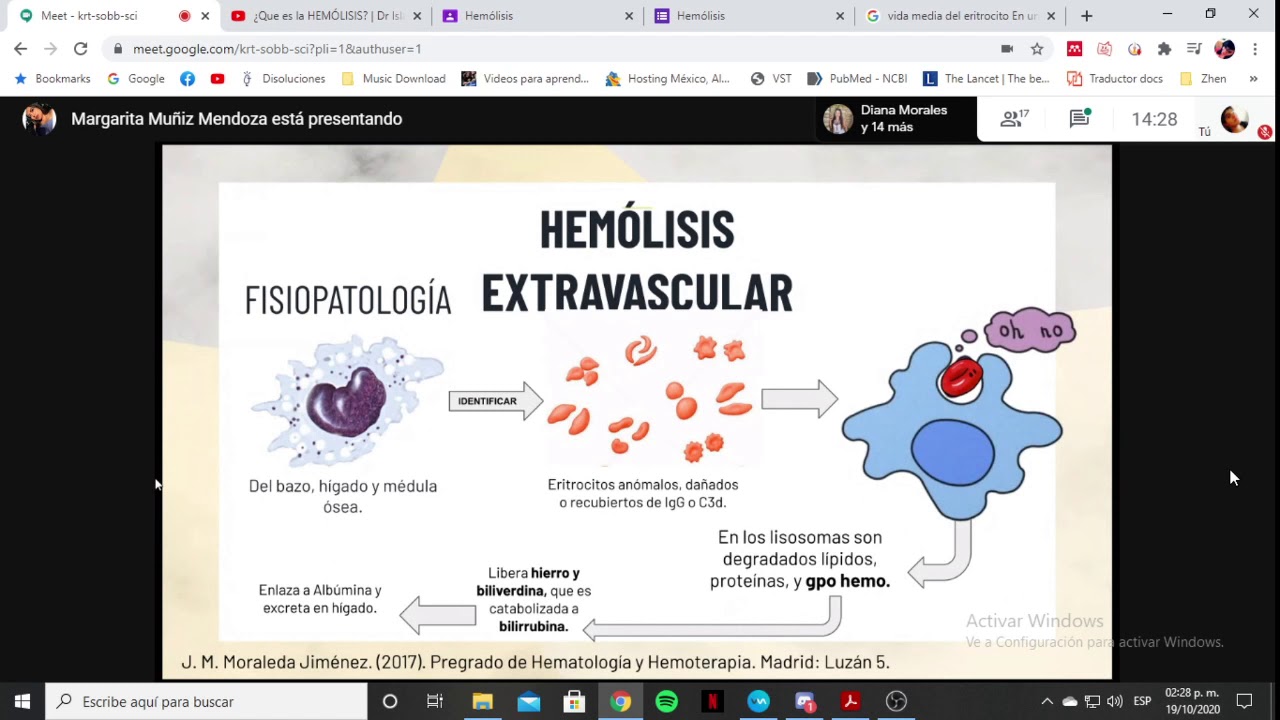 Hemólisis - YouTube